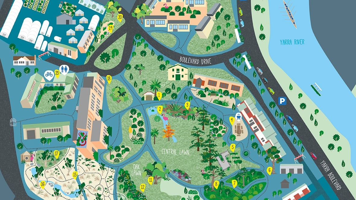 University of Melbourne : Campus Map Creative Illustrations